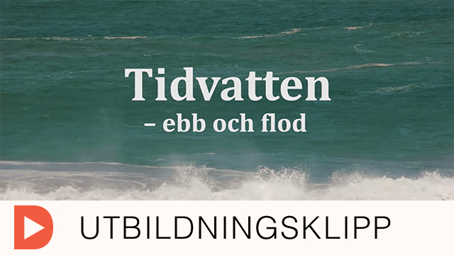 Play / Tidvatten - ebb och flod
